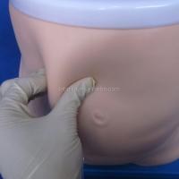 China Peritoneal Dialysis Teaching Model Clinical Nursing Training and Performance Tool for sale