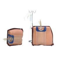 China Versatile Spinal Vertebral Puncture Training Simulator for Medical Professionals for sale