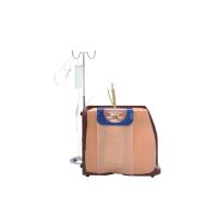 China Versatile Spinal Vertebral Puncture Training Simulator for Medical Professionals for sale