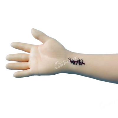China Medical Science Advanced Surgical Suture Training Arm for Professional Development for sale