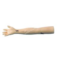 China Medical Science Advanced Surgical Suture Training Arm for Professional Development for sale