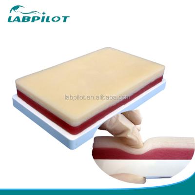 China Advanced Surgical Muscle and Skin Suture Practice Model for Teaching Clinical Skills for sale