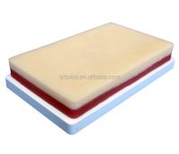 China Advanced Surgical Muscle and Skin Suture Practice Model for Teaching Clinical Skills for sale