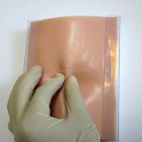 China Medical Training Tool Simulated Skin Suture Module for Surgical Muscle Incisions for sale