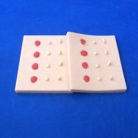 China Vivid Pathological Skin Disease Lesions Model for Medical Teaching Suture Pad for sale