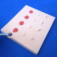 China Vivid Pathological Skin Disease Lesions Model for Medical Teaching Suture Pad for sale