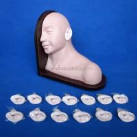 China Medical Education Ear Examination Model Realistic Human Simulation with 14-pc Set for sale