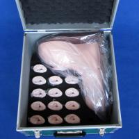 China Medical Education Ear Examination Model Realistic Human Simulation with 14-pc Set for sale