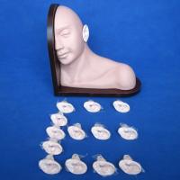 China Medical Education Ear Examination Model Realistic Human Simulation with 14-pc Set for sale