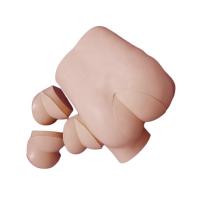 China Advanced DRE Nursing Training Simulator Clinical Skills Model for Rectal Touch Examination for sale
