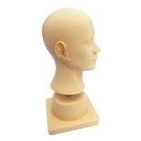 China Advanced PVC Plastic Ear Diagnostic Simulator for Otolaryngology Demonstration Tool for sale