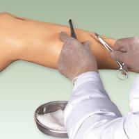 China Medical Surgery Training Model Vivid Leg Model for Surgical Instrument Demonstration for sale