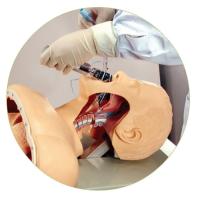 China Electronic Warning Oral and Nasal Intubation Trainer for Emergency Skills Training for sale