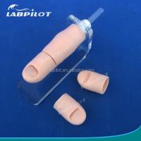 China Ingrowing Toenail Trainer The Ultimate Model for Nails Extraction Training and Practice for sale