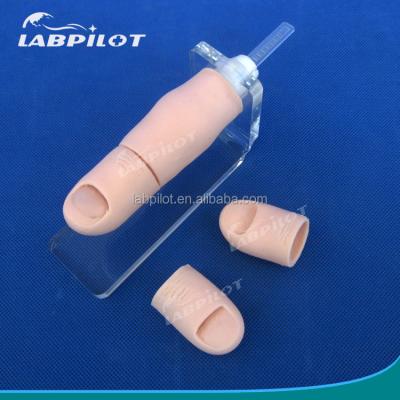 China Ingrowing Toenail Trainer The Ultimate Model for Nails Extraction Training and Practice for sale