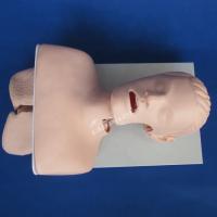 China Trachea Intubation Practice Human Life Size Oral and Nasal Intubation Training Model for sale