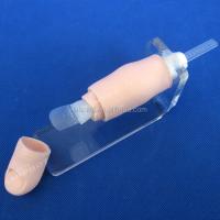 China Ingrowing Toenail Trainer The Ultimate Model for Nails Extraction Training and Practice for sale