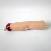 China Medical Science Trauma Care Simulator Bleeding and Amputated Arm Model for sale