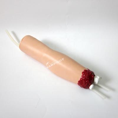 China Medical Science Trauma Care Simulator Bleeding and Amputated Arm Model for sale