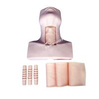 China Manikin Anatomy Teaching Tracheostomy Demonstration Model for Medical Science Subject for sale
