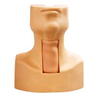 China Manikin Anatomy Teaching Tracheostomy Demonstration Model for Medical Science Subject for sale
