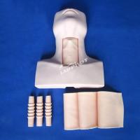 China Manikin Anatomy Teaching Tracheostomy Demonstration Model for Medical Science Subject for sale