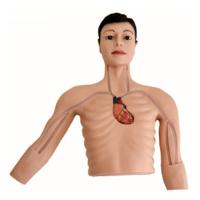 China Advanced PVC PICC Intervention Simulator for Teaching Venous Puncture Skills Practice for sale