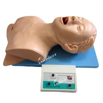 China Endotracheal Intubation Training Manikin Human Life Size Model for Resuscitation Airbag for sale