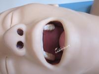 China Endotracheal Intubation Training Manikin Human Life Size Model for Resuscitation Airbag for sale