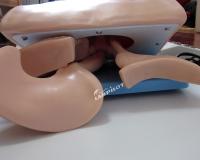 China Endotracheal Intubation Training Manikin Human Life Size Model for Resuscitation Airbag for sale