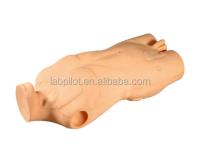 China Advanced PVC Torso Model for Central Venous Injection and Puncture Skill Development for sale