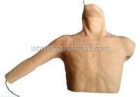 China Advanced PICC Simulator and Peripheral Venous Puncture Teaching Model for Human Size for sale