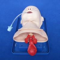 China Economic Pediatric Manikin for Vivid Infant Head Model and Infant Intubation Training for sale