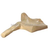 China Advanced PICC Simulator and Peripheral Venous Puncture Teaching Model for Human Size for sale