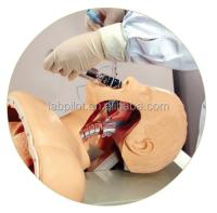 China Electronic Intubation Training Head for Advanced Airway Management Model NG Tube Function for sale