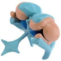 China Advanced PVC Ventricle and Basal Nuclei Brain Model Perfect for Educational Purposes for sale