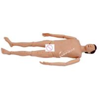 China Water Rescue Simulator Human CPR Manikin Categories Clinical Nursing Skills Practice Model for sale