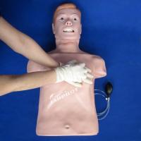 China Professional Human Life Size Manikin for Adult Half Body CPR and Intubation Training for sale