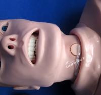 China Professional Human Life Size Manikin for Adult Half Body CPR and Intubation Training for sale