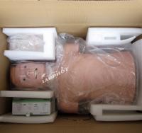 China Professional Human Life Size Manikin for Adult Half Body CPR and Intubation Training for sale