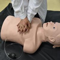 China Improve Emergency Response Skills with Two-in-One CPR and Tracheal Intubation Manikin for sale