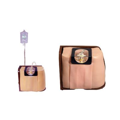 China Lumbar Epidural and Caudal Anesthesia Training Simulator for Surgical Skills Teaching for sale