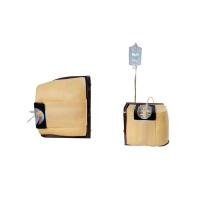 China Vivid Human Torso Training and Education Model Advanced PVC Spinal Puncture Simulato for sale