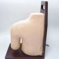 China Advanced PVC Medical Training Shoulder Joint Intracavitary Injection Simulator Teaching Model for sale