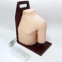 China Advanced PVC Medical Training Shoulder Joint Intracavitary Injection Simulator Teaching Model for sale