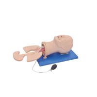 China Advanced PVC Airway Management Model for Healthcare Intubation and Suction Training for sale