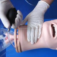 China Advanced PVC Airway Management Model for Healthcare Intubation and Suction Training for sale