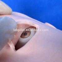 China Advanced PVC Airway Management Model for Healthcare Intubation and Suction Training for sale