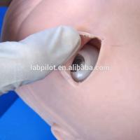 China Advanced PVC Airway Management Model for Healthcare Intubation and Suction Training for sale