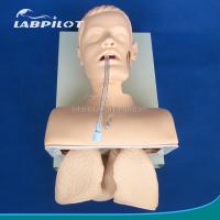 China Electronic Tracheal Intubation Training Model with Inflatable Lung NG Tube and Suction Simulator Ideal for sale